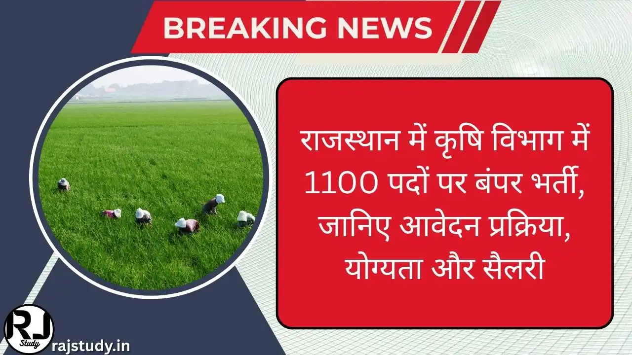 RSMSSB Agriculture Supervisor Recruitment 2025: राजस्थान में कृषि विभाग ...